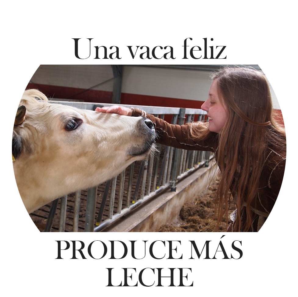 Plan de ocho puntos - Agroindustrias Lácteas S.A.S.