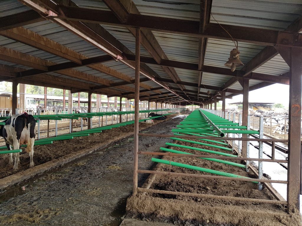 ESTABULACIÓN - Agroindustrias Lácteas S.A.S.